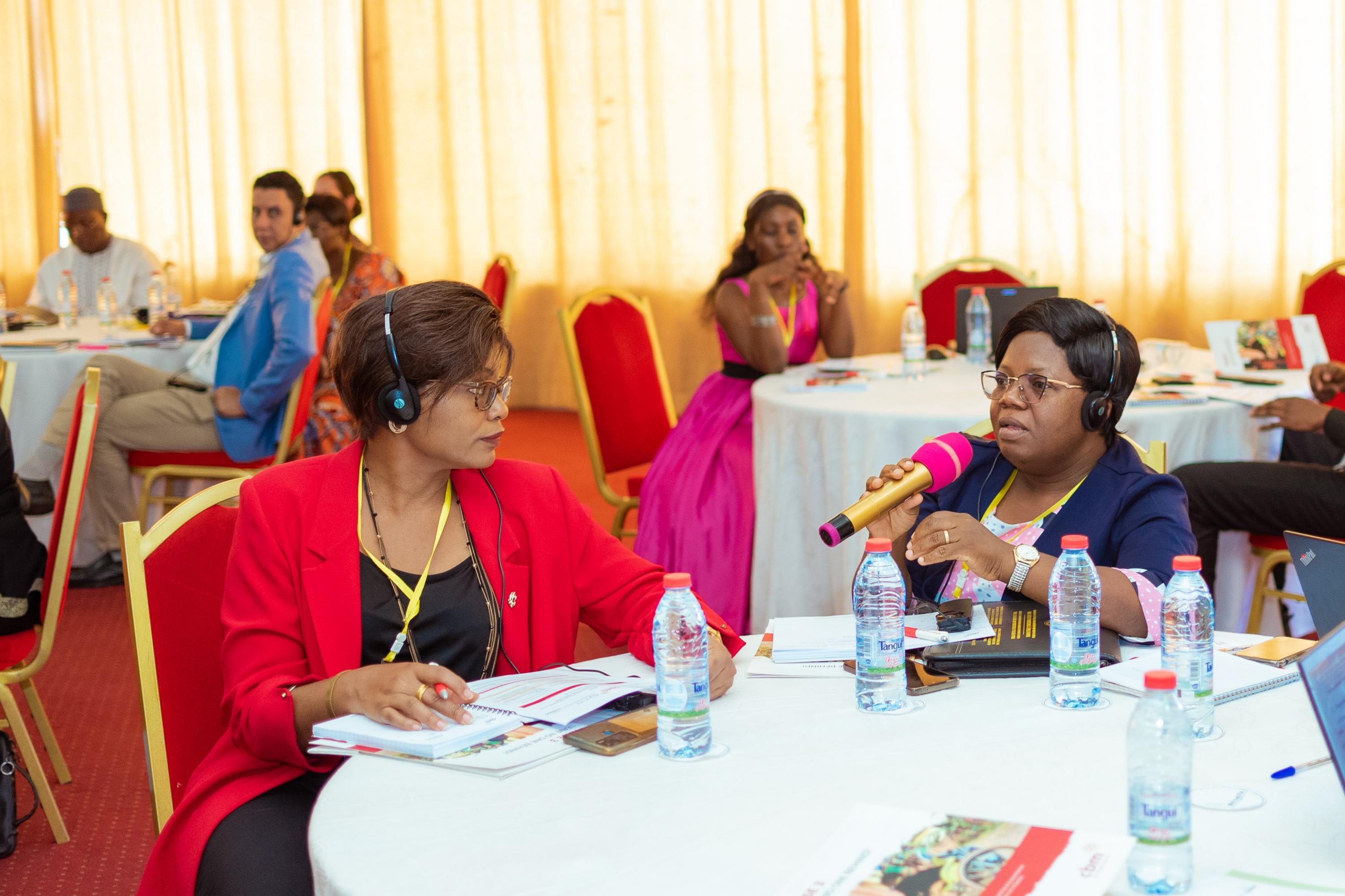 Training for Country Directors and Programme Managers on Inclusive ...